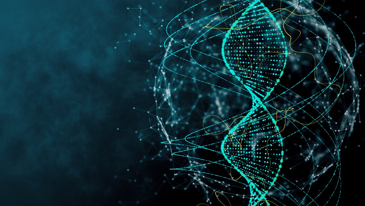 Polarion Services – Taipuva